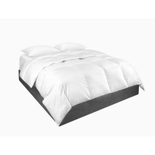 ck embroidered comforter